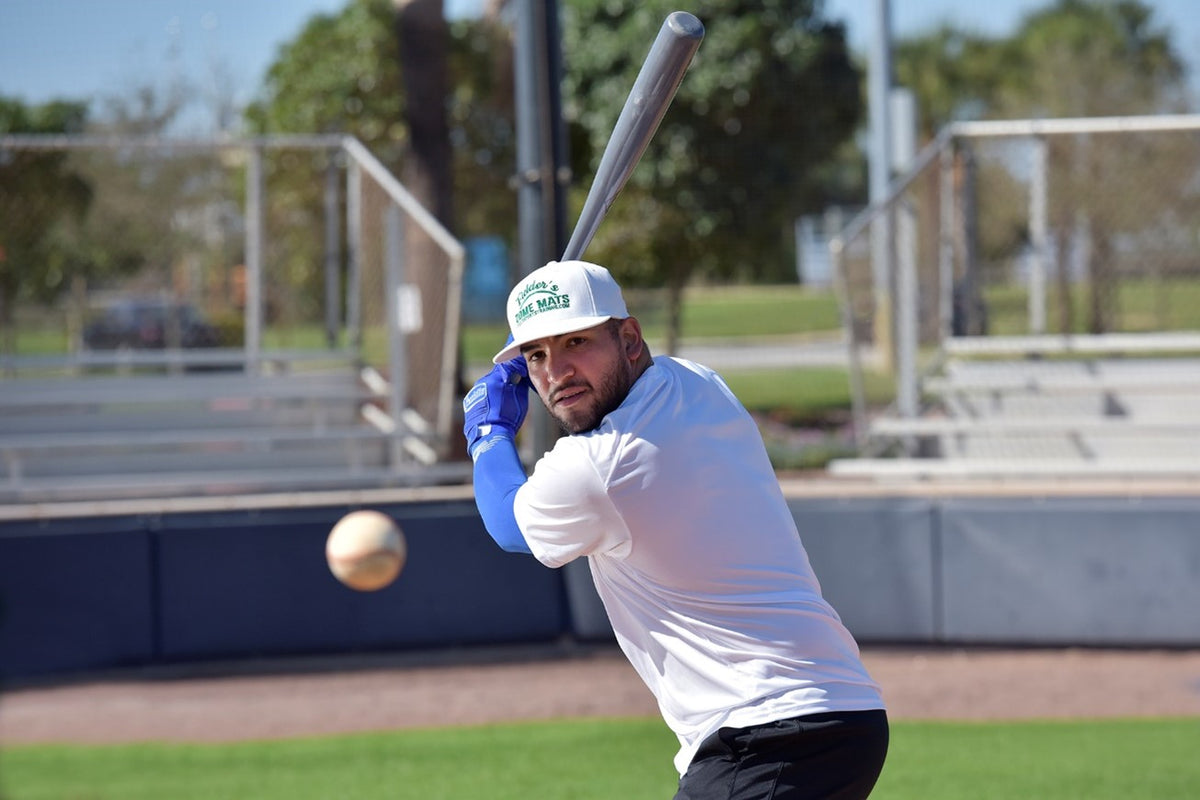 Swinging for the Fences: Celebrating Baseball's Greatest Hitters ...